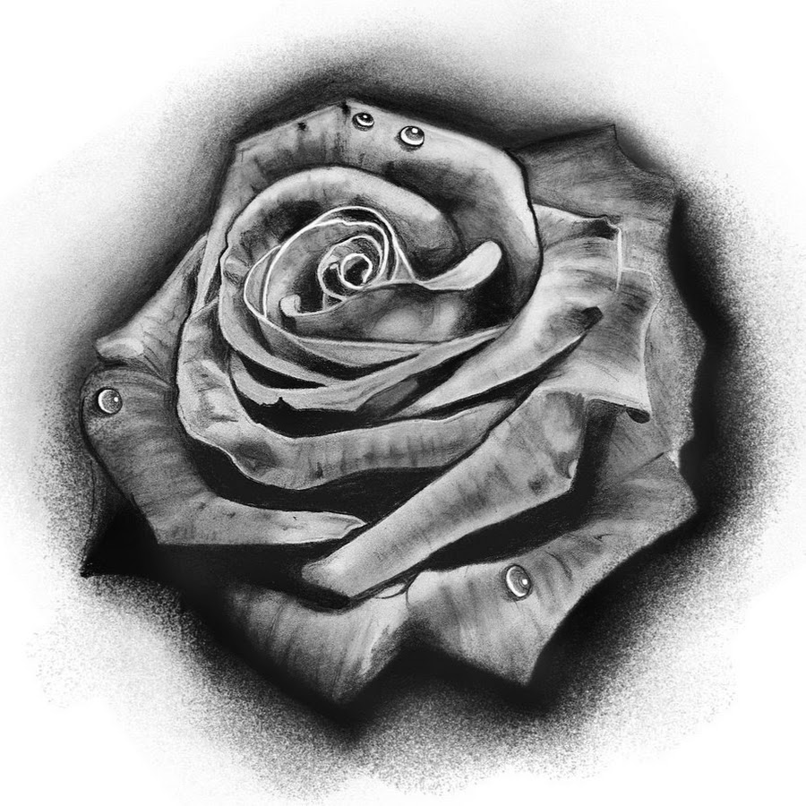 Рисунок роза черно белая: Векторная графика D1 80 d0 be d0 b7 d1 8b d1 ...